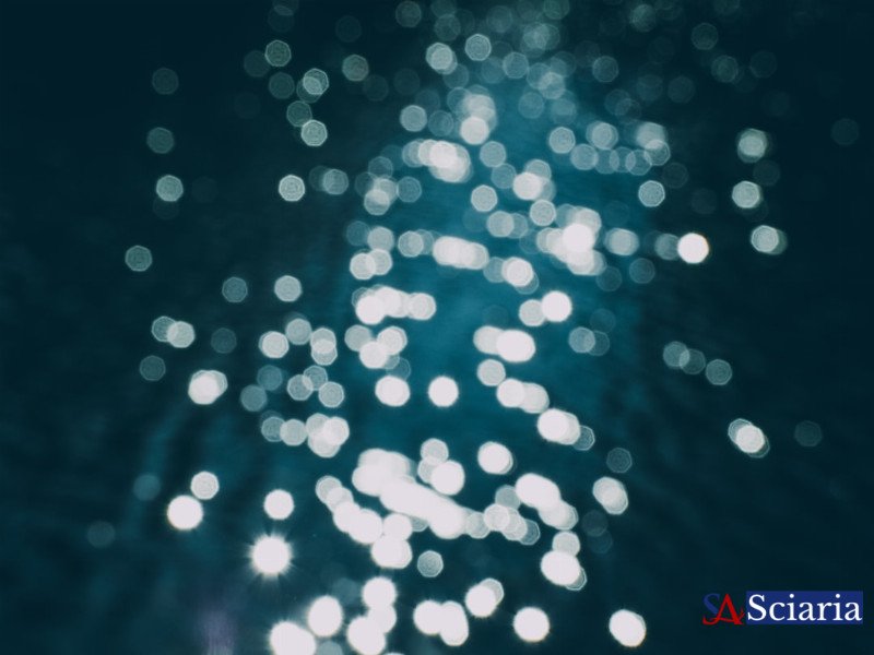 Genetic Echoes: Your Ancestors' Stories Written in Your DNA